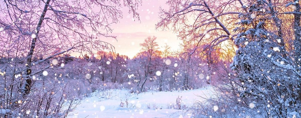 Snow Day Work - Birch Wood School